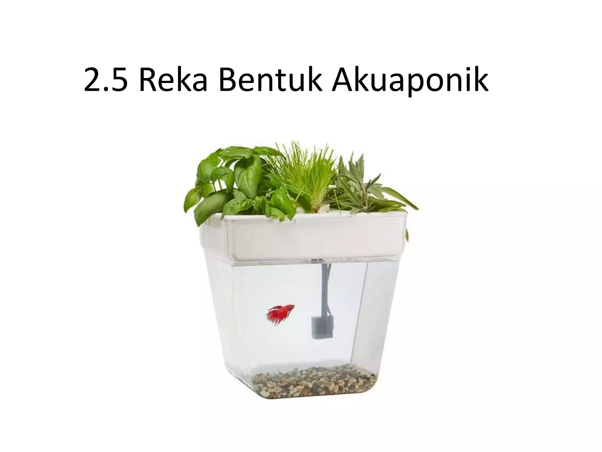 Reka bentuk akuaponik | PPTX