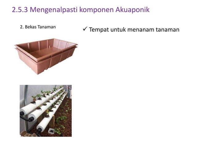 Reka bentuk akuaponik | PPTX
