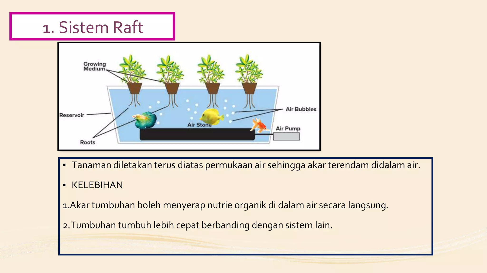 Reka bentuk akuaponik rajeswari | PPTX