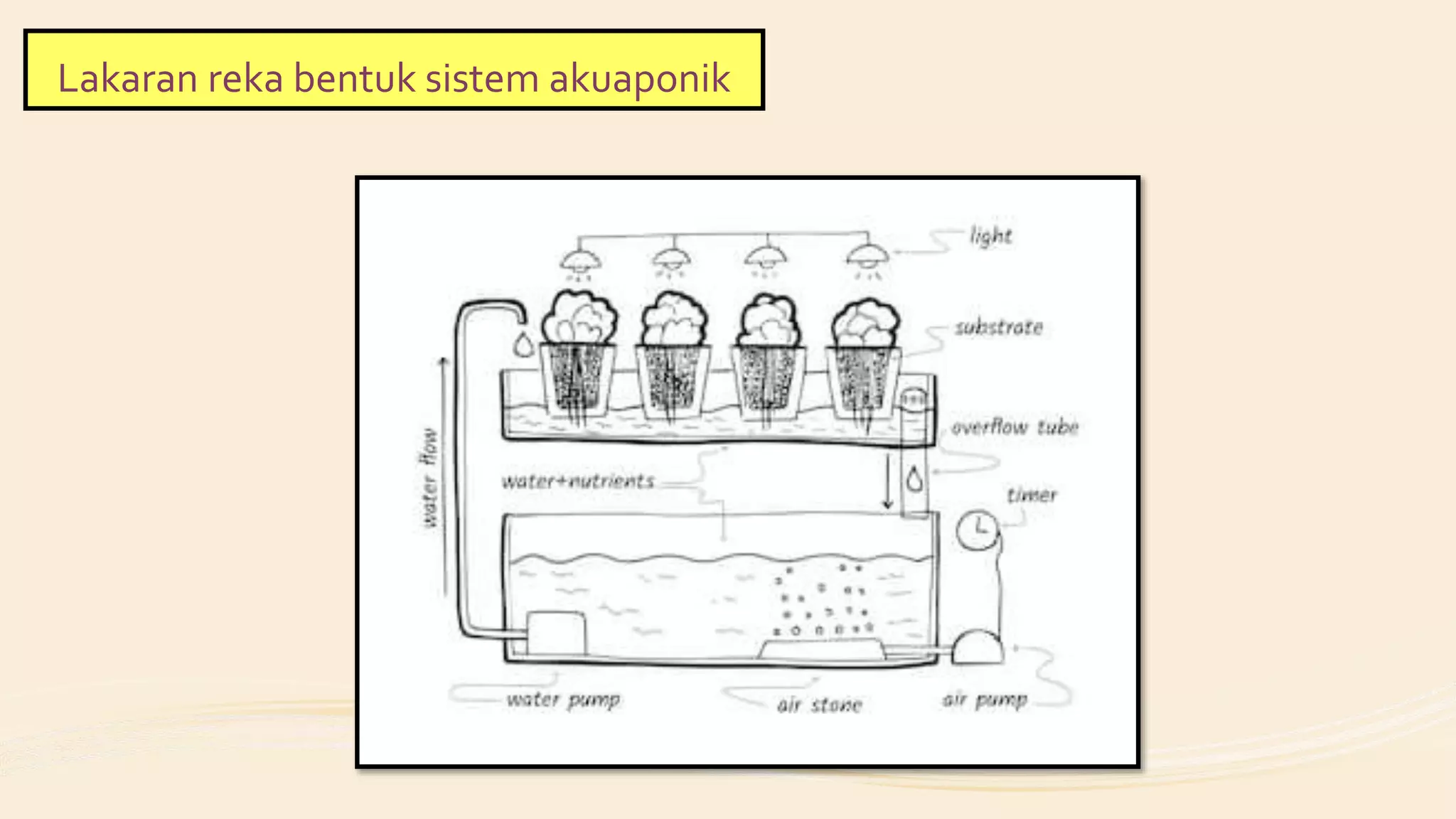 Reka bentuk akuaponik rajeswari | PPTX
