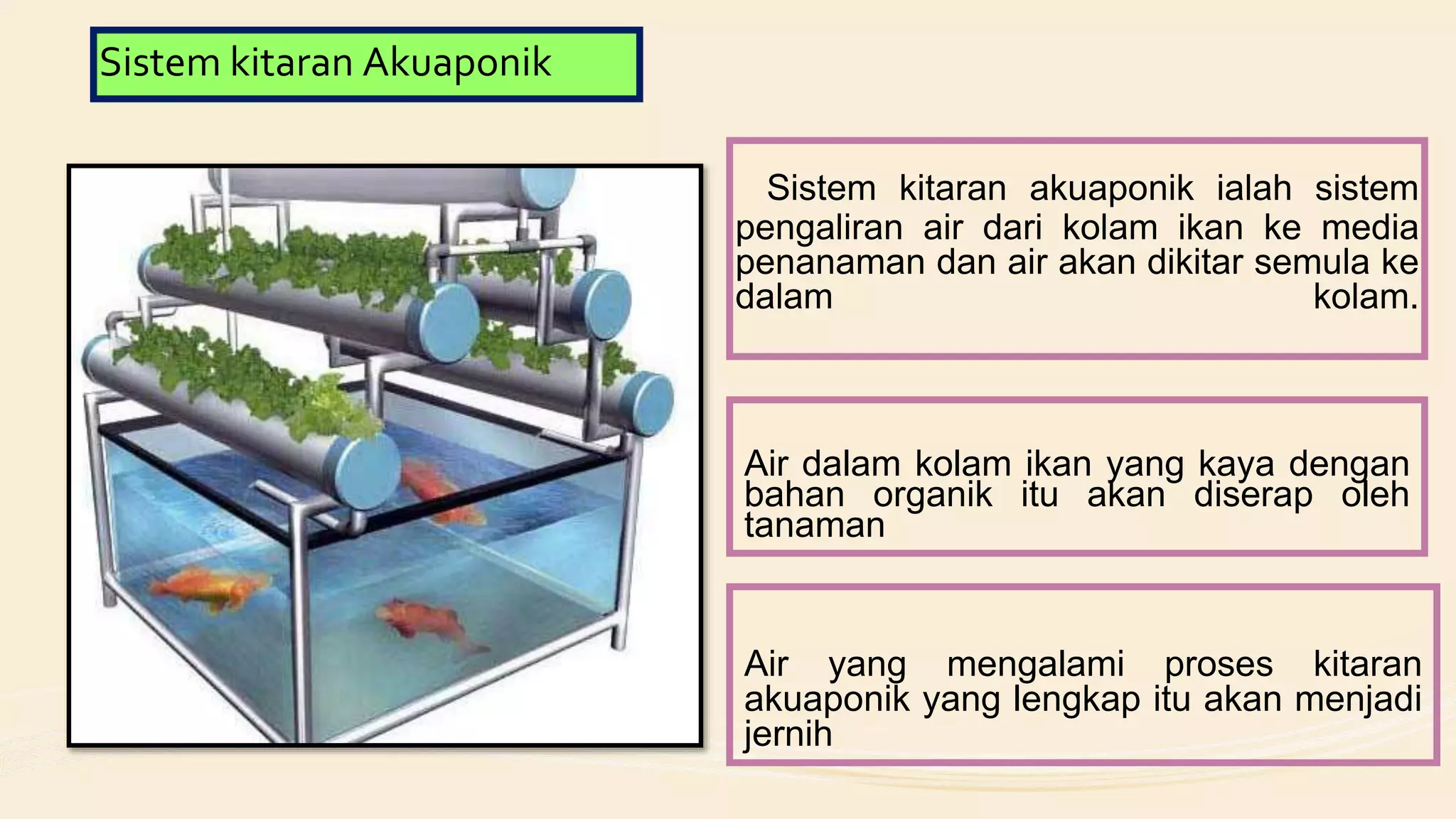 Reka bentuk akuaponik rajeswari | PPTX