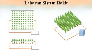 Projek Rekabentuk Sistem Hidroponik | PPTX