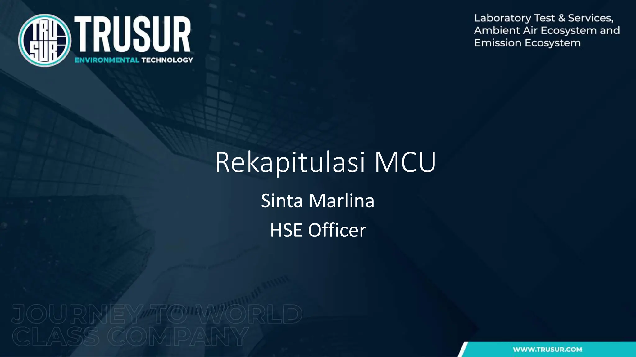 Rekapitulasi Hasil MCU Karyawan Tahunan 2024 | PPTX