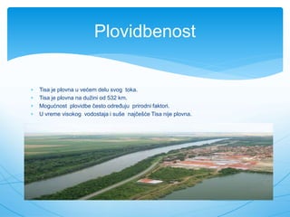 Reka Tisa, Petra Dilparić | PPTX