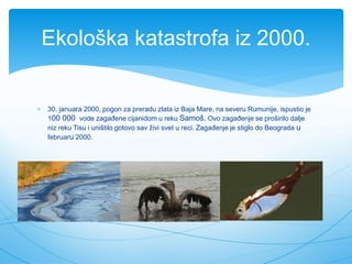 Reka Tisa, Petra Dilparić | PPTX