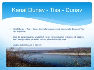 Reka Tisa, Petra Dilparić | PPTX