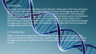 Rekayasa genetika | PPTX
