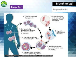 Rekayasa genetika | PPTX