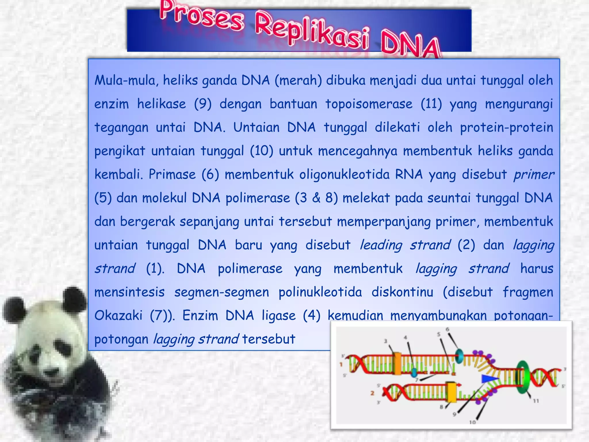 Rekayasa genetika hewan | PPT