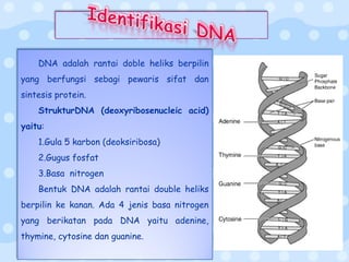 Rekayasa genetika hewan | PPT