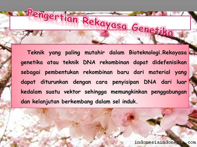 Rekayasa genetika hewan | PPT