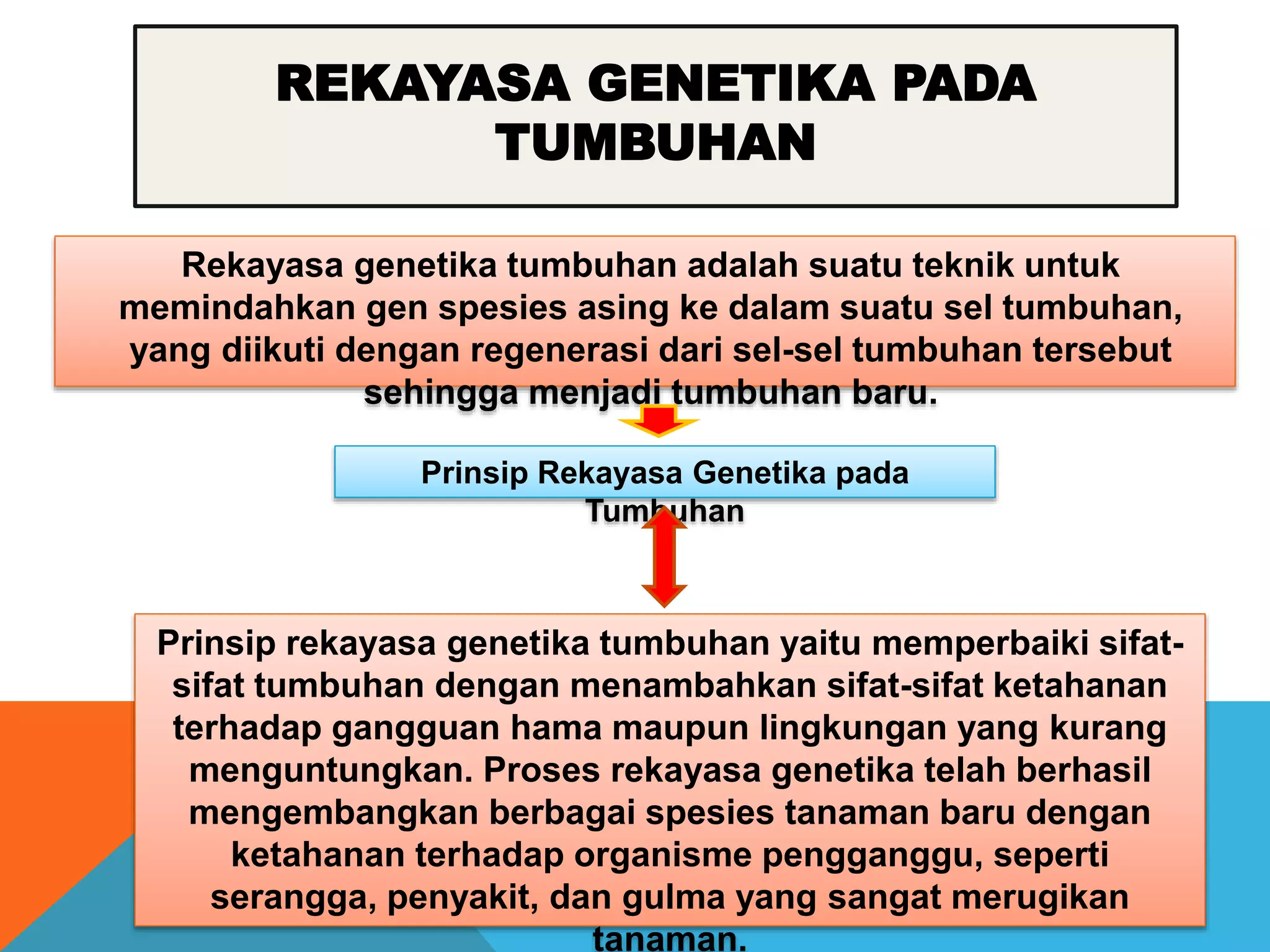 REKAYASA GENETIKA PADA TUMBUHAN DAN HEWAN.pptx