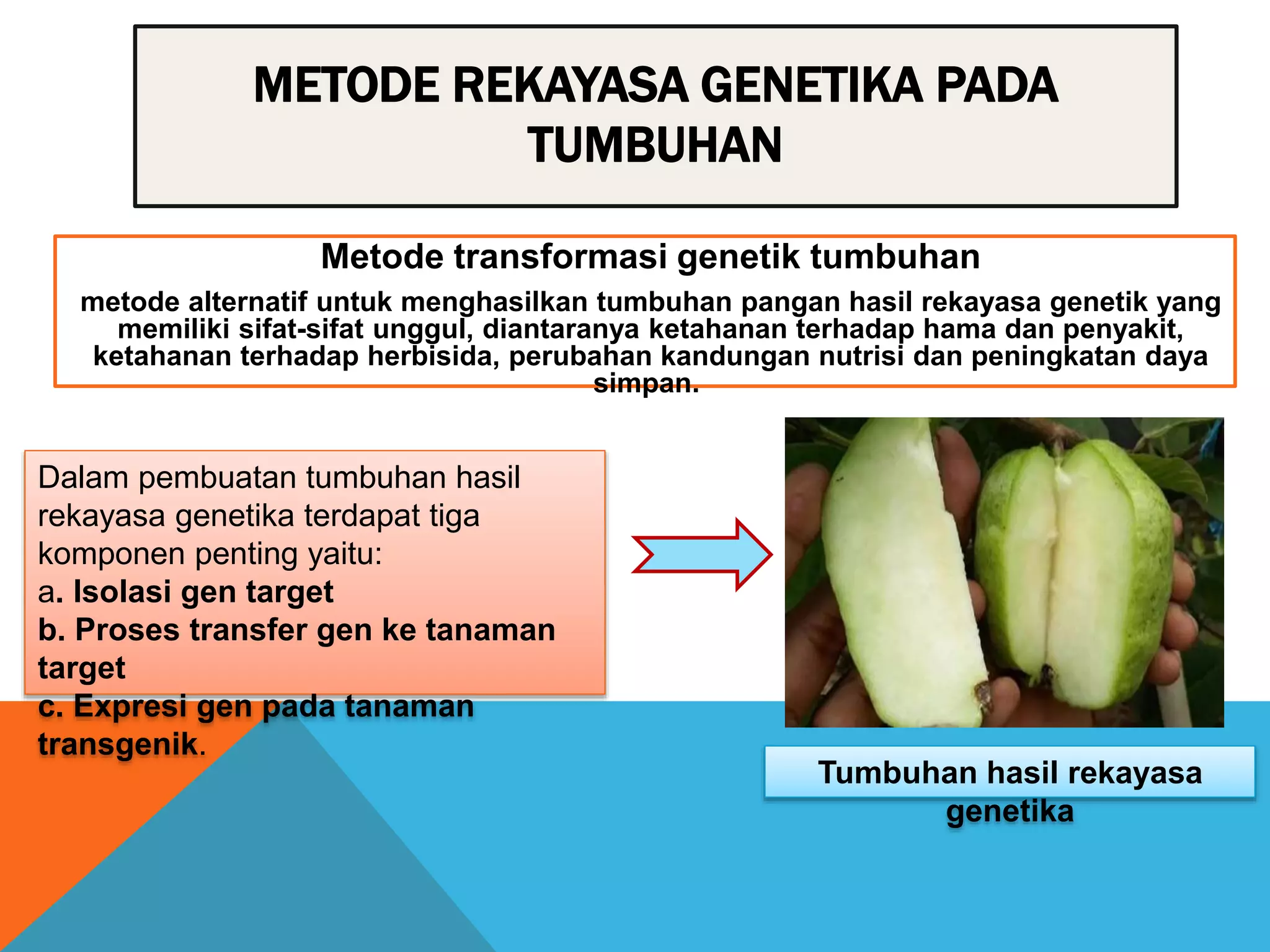 REKAYASA GENETIKA PADA TUMBUHAN DAN HEWAN.pptx