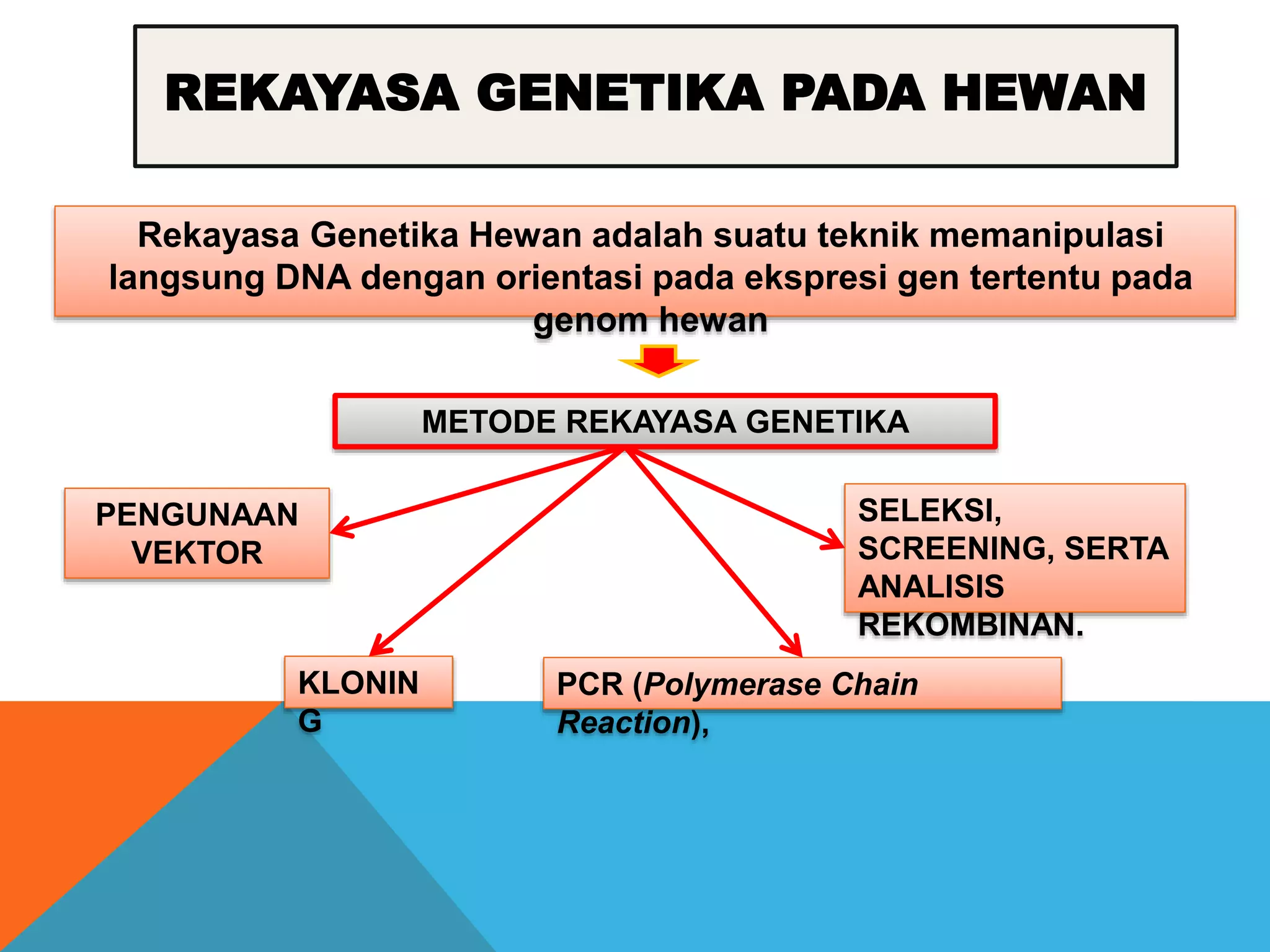 REKAYASA GENETIKA PADA TUMBUHAN DAN HEWAN.pptx