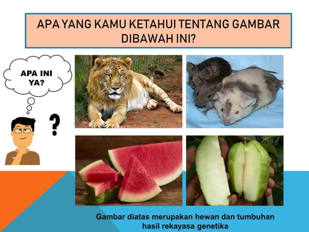 REKAYASA GENETIKA PADA TUMBUHAN DAN HEWAN.pptx