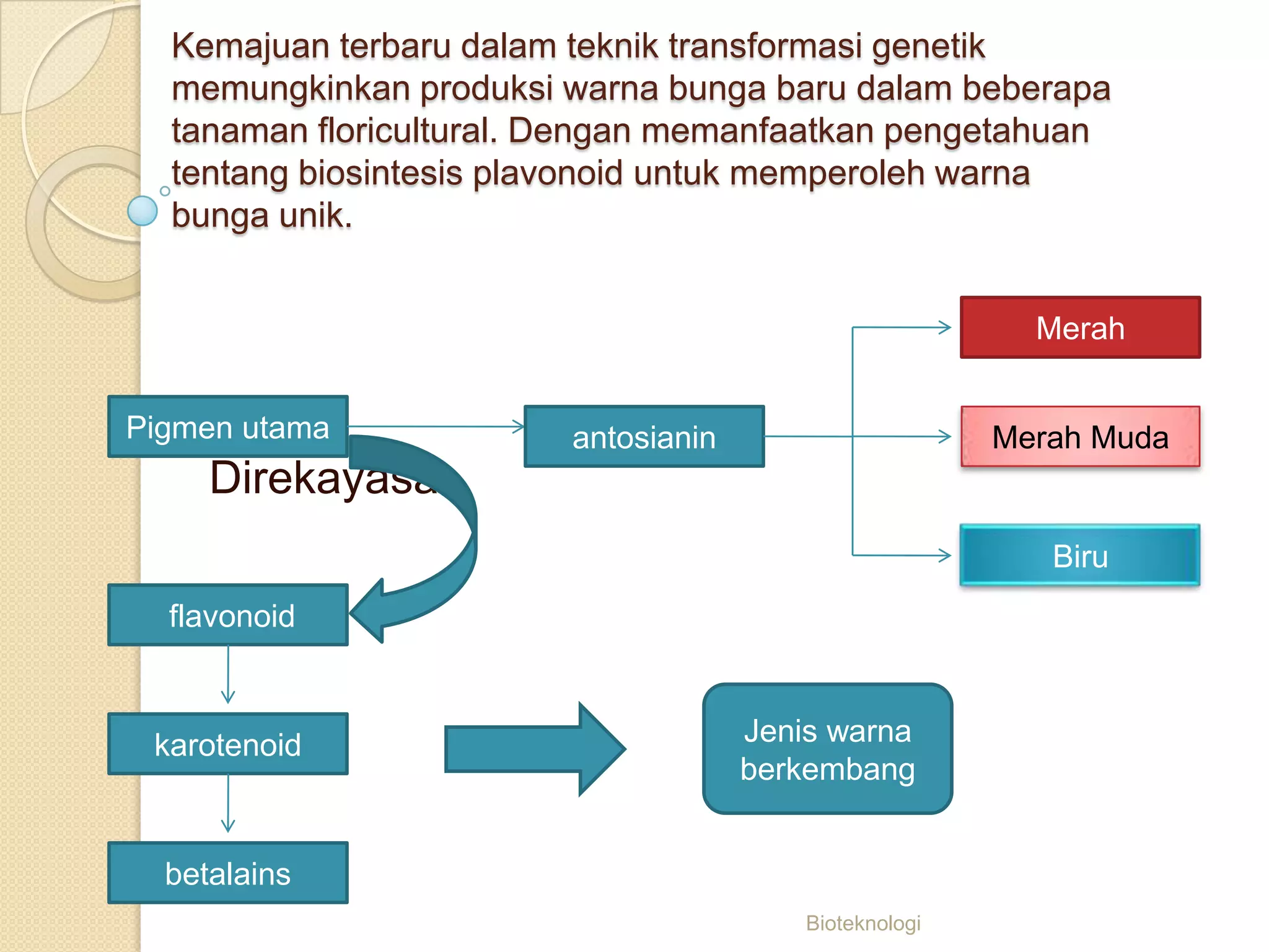 Rekayasa genetika pigmen flavonoid untuk memodifikasi warna bunga pada ...