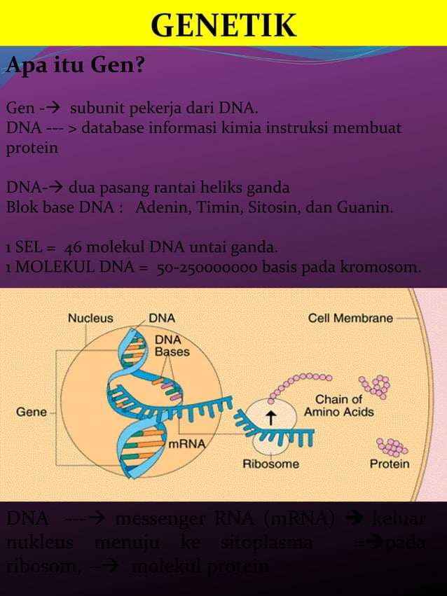 Rekayasa genetik dan teknik | PDF