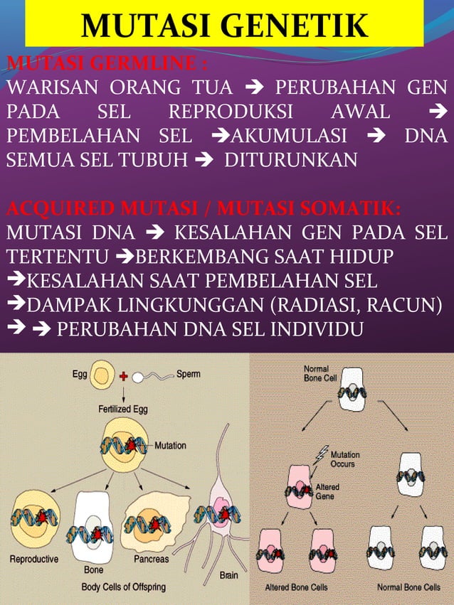 Rekayasa genetik dan teknik | PDF
