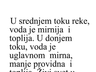 Reke | PPTX