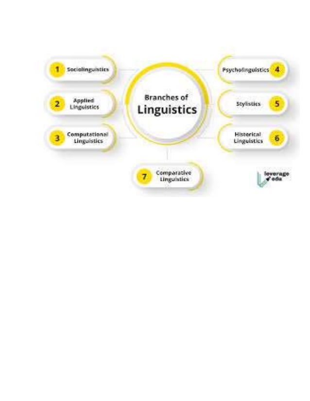 A Crash Course in the Branches of Linguistics | PDF