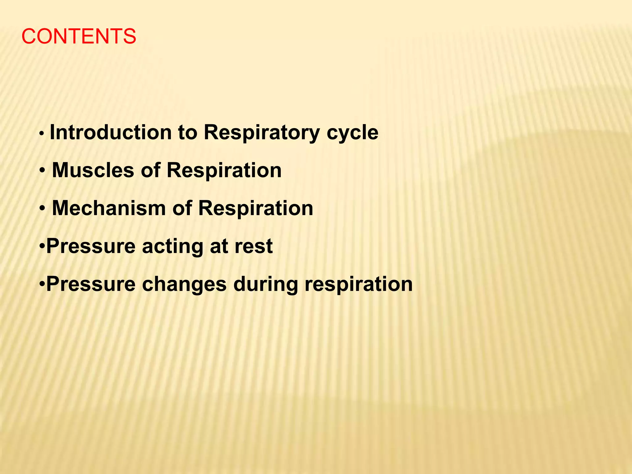 Rekha topic[1]respiratory cycle | PPTX