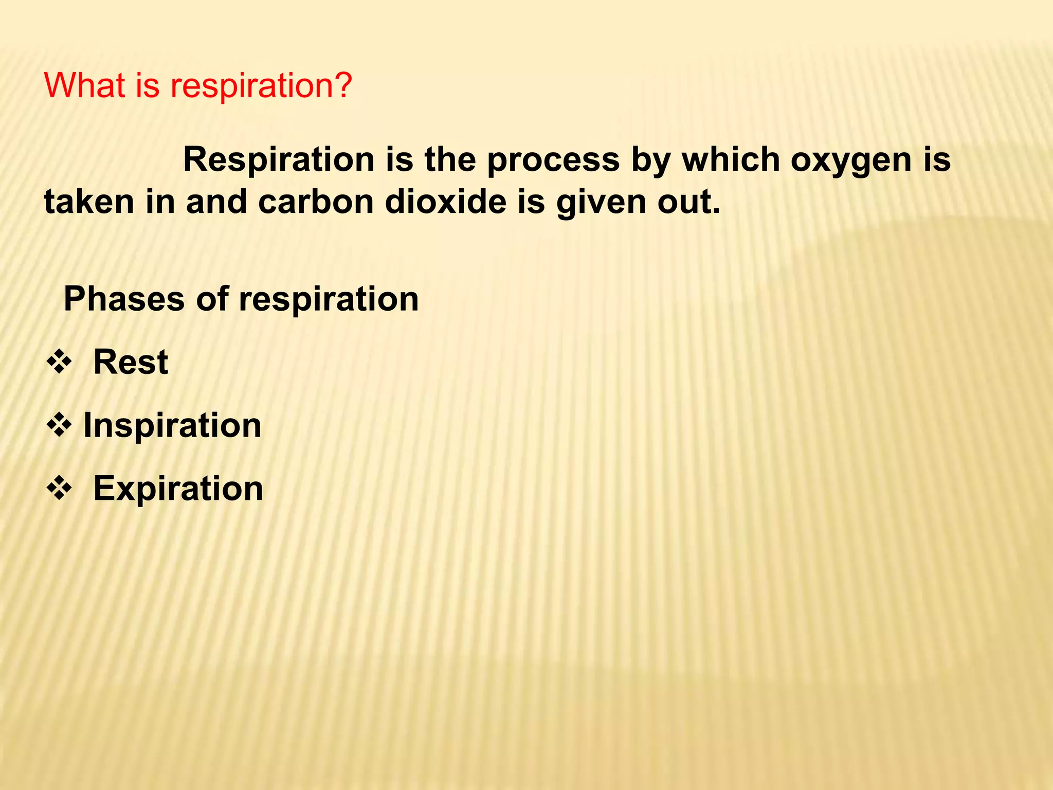 Rekha topic[1]respiratory cycle | PPTX