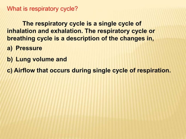 Rekha topic[1]respiratory cycle | PPT
