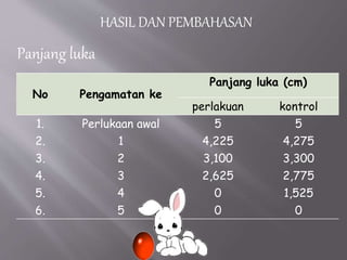 PENGGUNAAN SERBUK KOPI ROBUSTA (Coffea canephora) TERHADAP PENYEMBUHAN ...