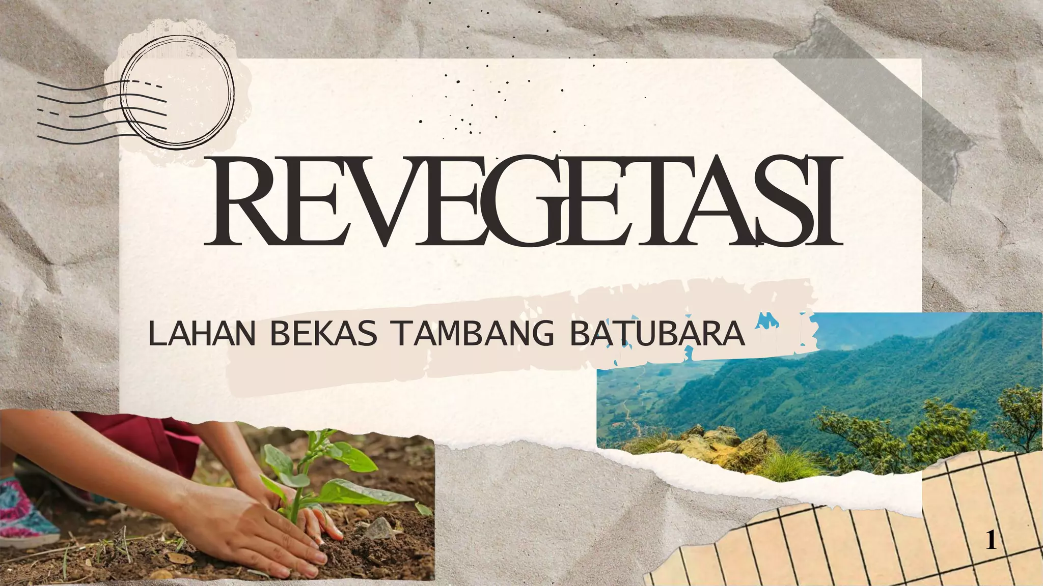 Revegetasi Lahan Bekas Tambang Batubara | PPTX