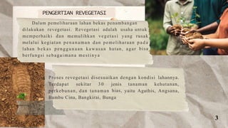 Revegetasi Lahan Bekas Tambang Batubara | PPTX