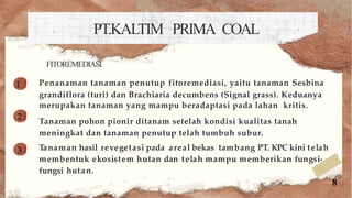 Revegetasi Lahan Bekas Tambang Batubara | PPTX