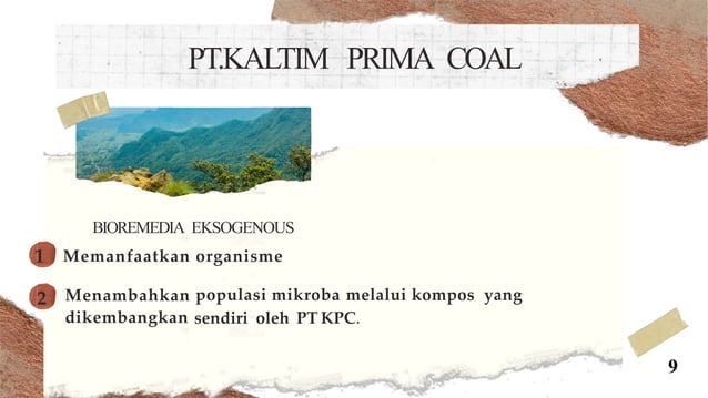 Revegetasi Lahan Bekas Tambang Batubara | PPTX