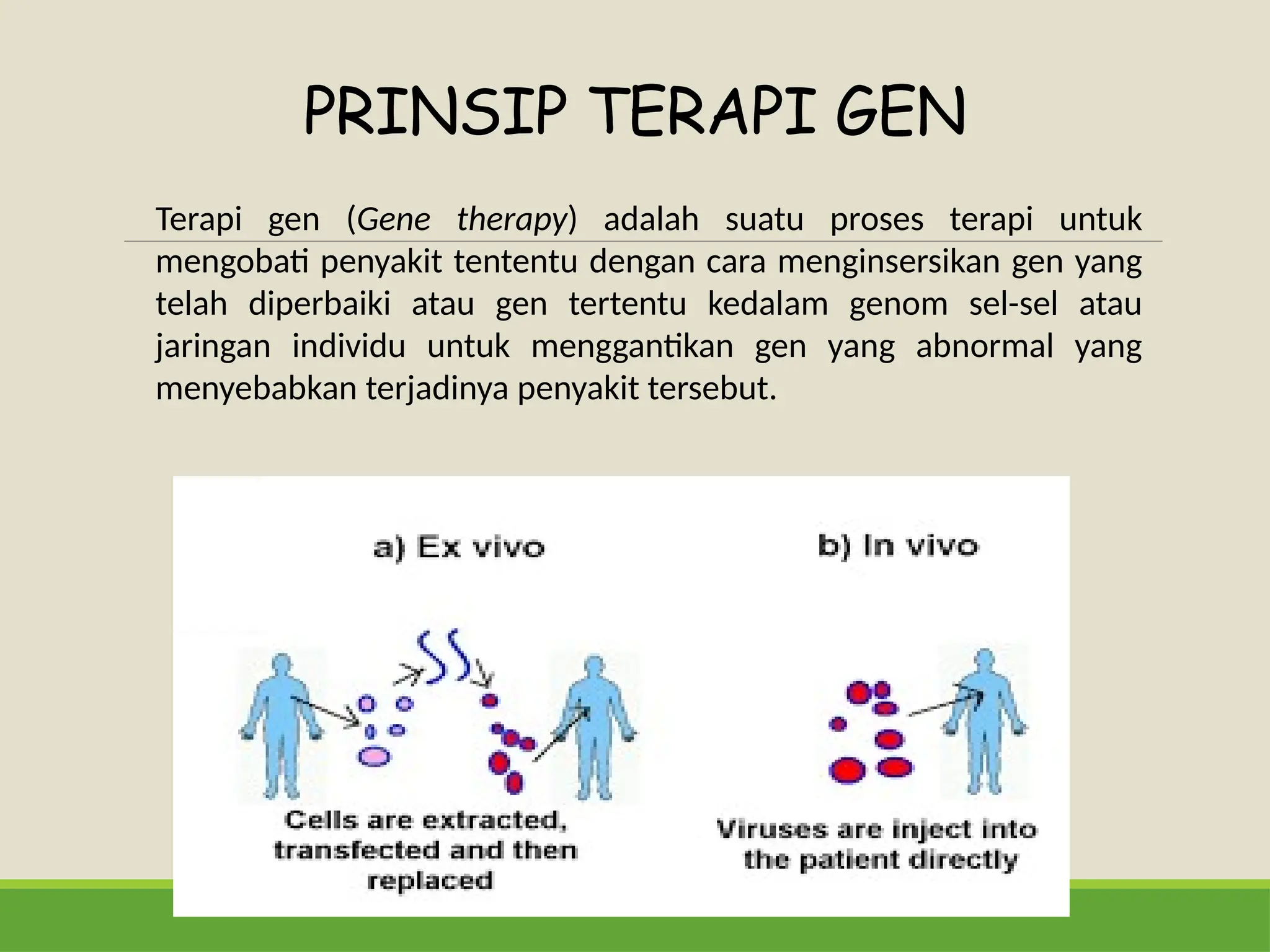 Rekombinansi DNA biomedik kedokteran.pptx