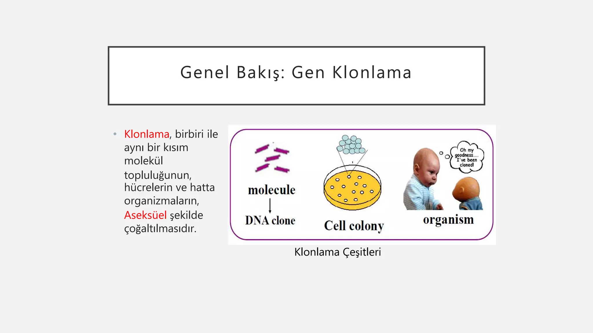 Rekombinant dna ve klonlama | PPTX