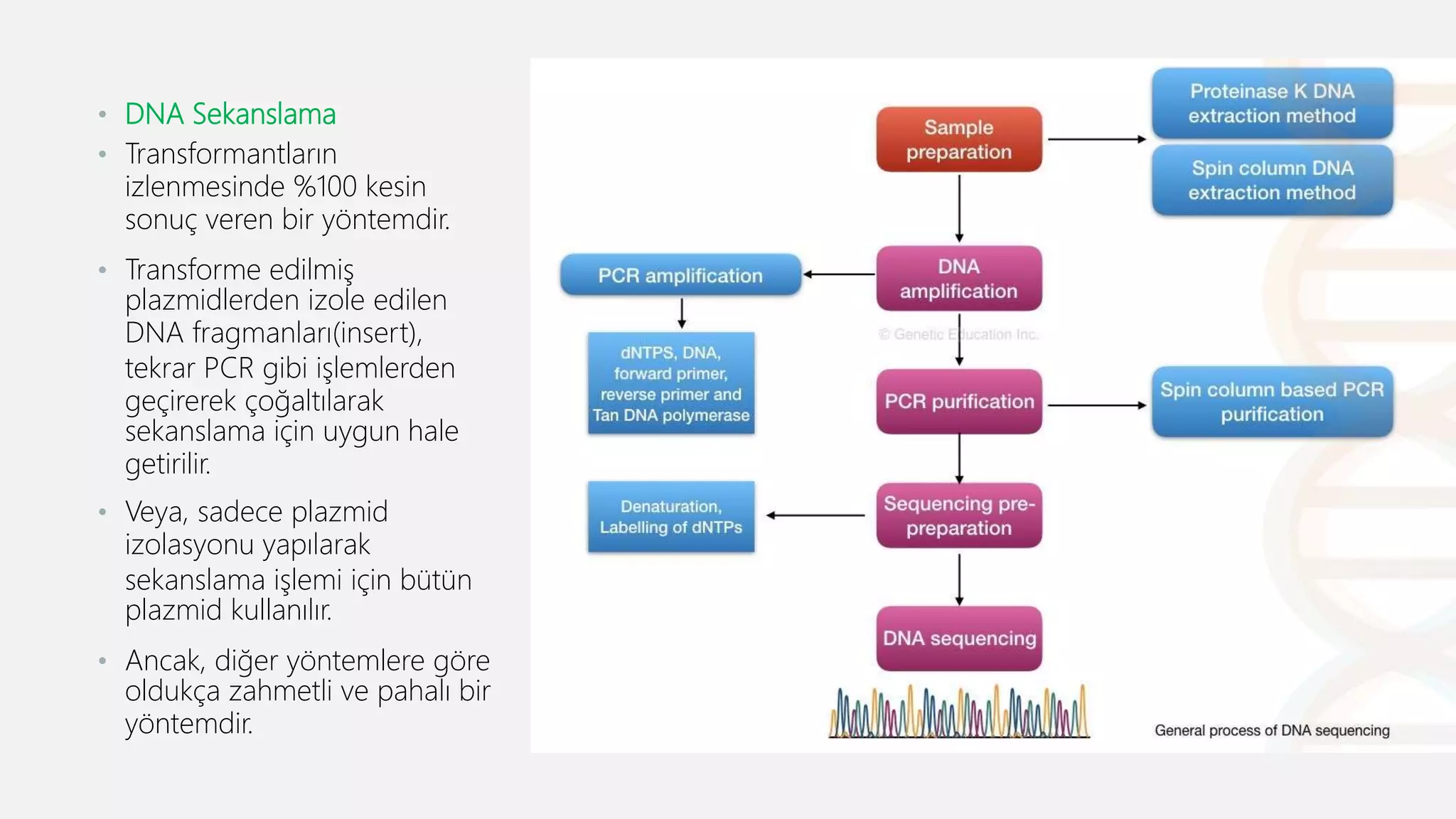 Rekombinant dna ve klonlama | PPTX