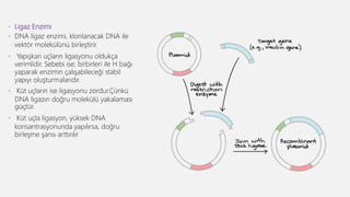 Rekombinant dna ve klonlama | PPTX