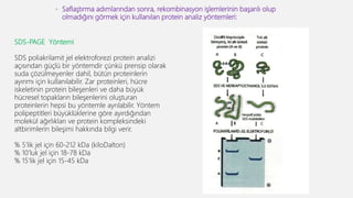 Rekombinant dna ve klonlama | PPTX
