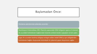 Rekombinant dna ve klonlama | PPTX