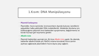 Rekombinant dna ve klonlama | PPTX
