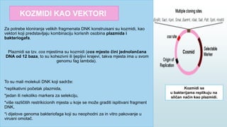 Rekombinantna DNA | PPTX