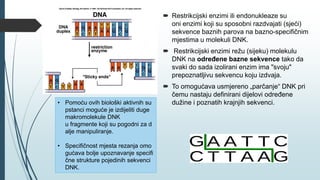 Rekombinantna DNA | PPTX