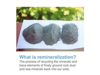 The Potential of Remineralization | PPT