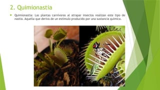 Relación en las plantas. Función vital de los seres vivos | PPTX