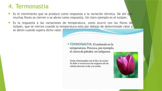 Relación en las plantas. Función vital de los seres vivos | PPTX