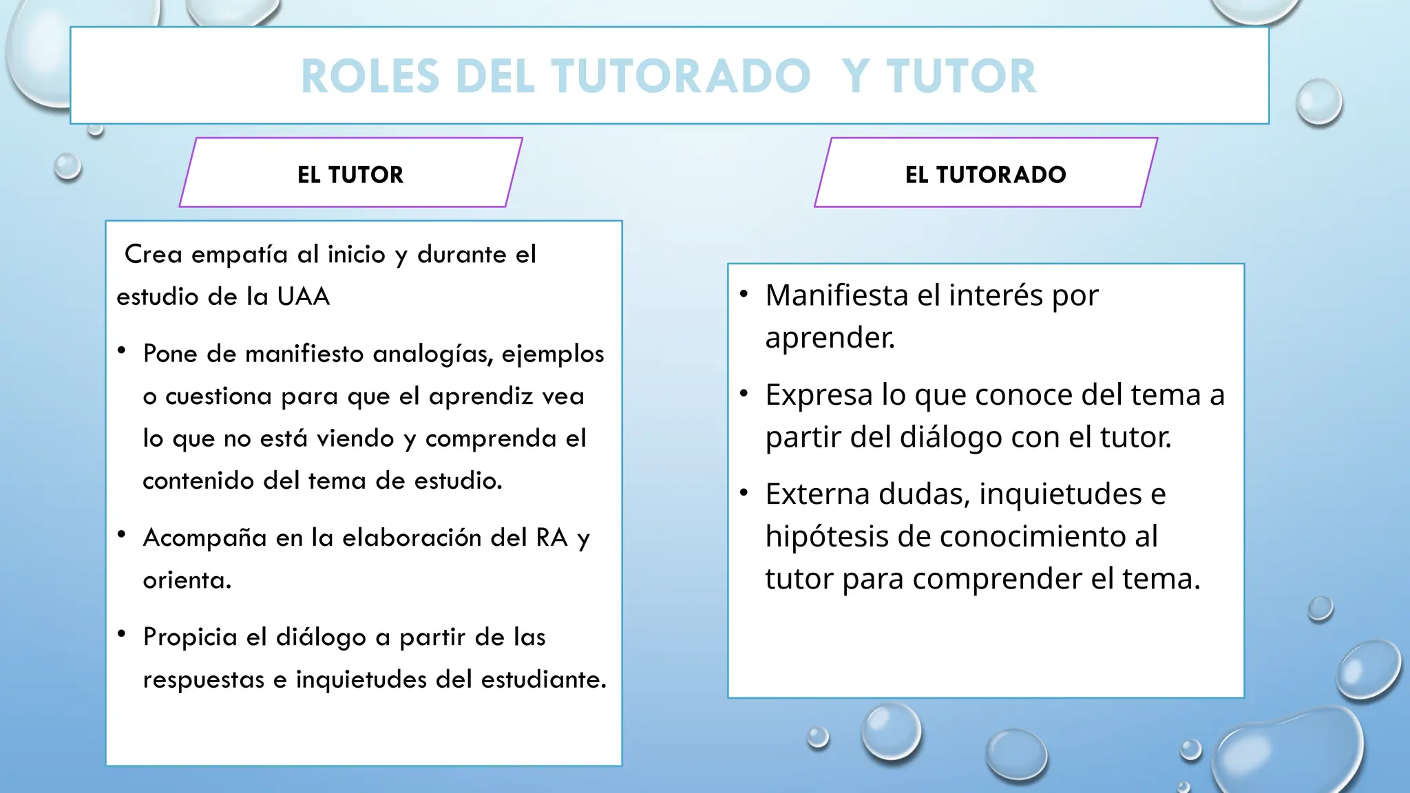 RELACIÓN TUTORA (CICLO DE REACIÓN TUTORA).pptx