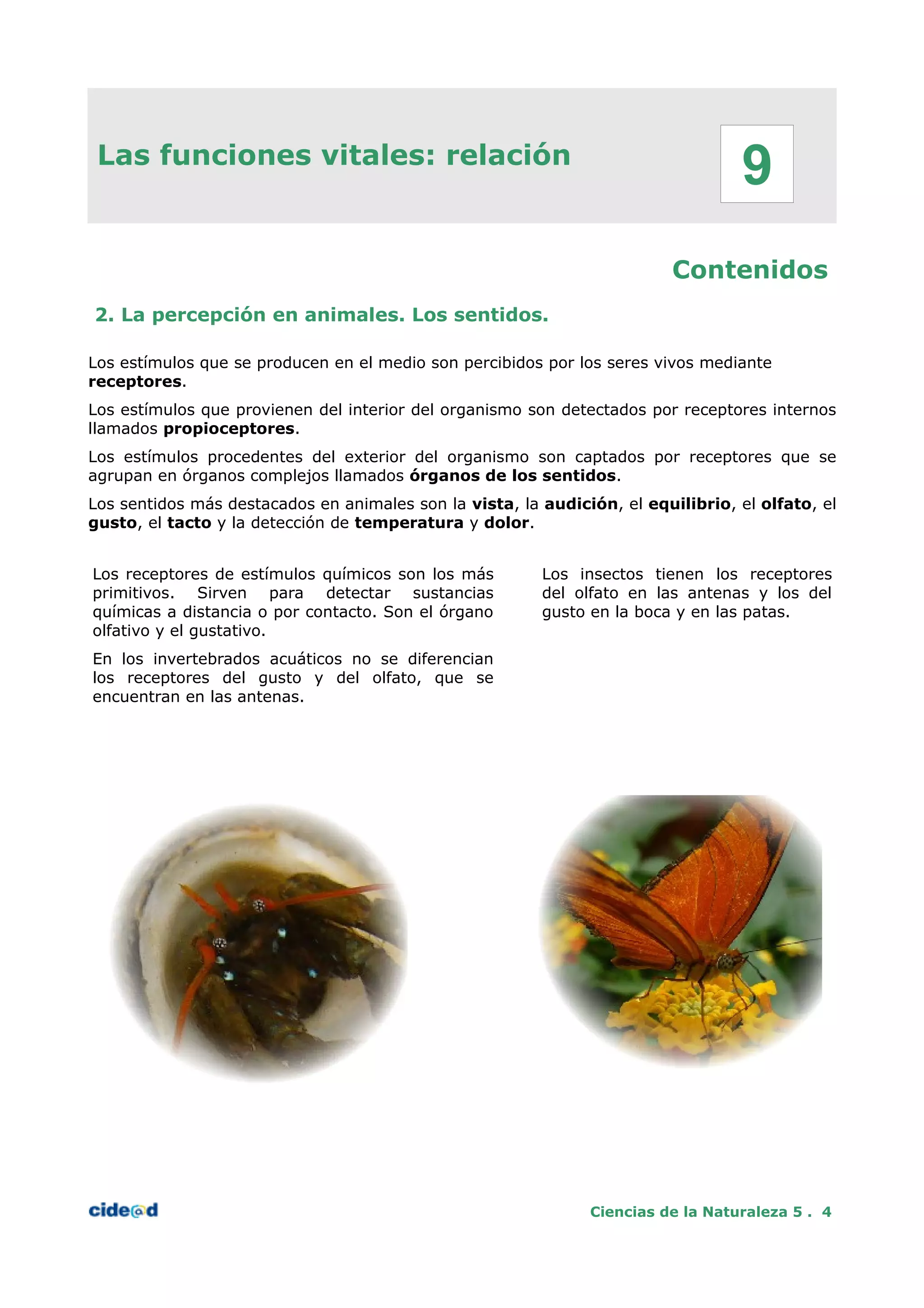 FUNCION DE RELACION ANIMALES | PDF