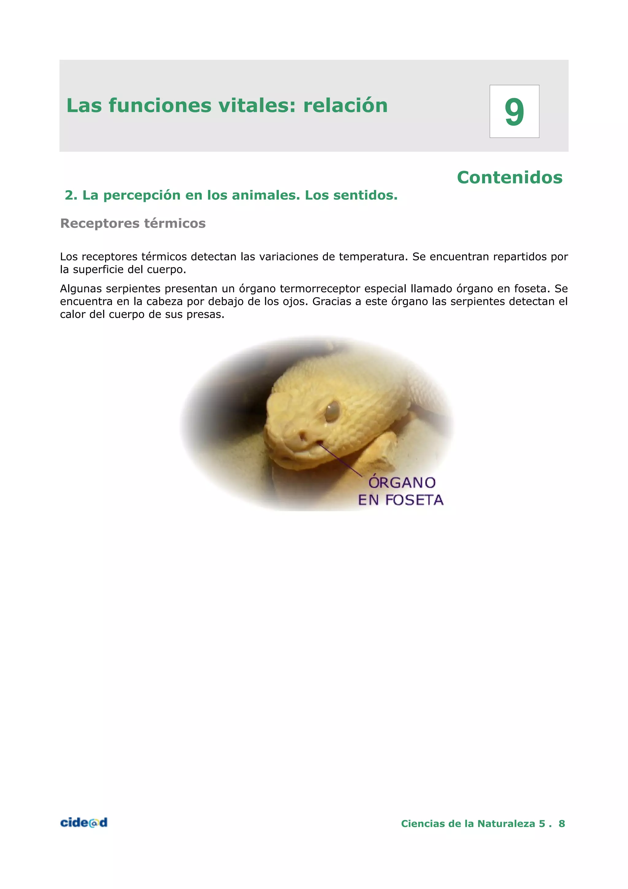 FUNCION DE RELACION ANIMALES | PDF