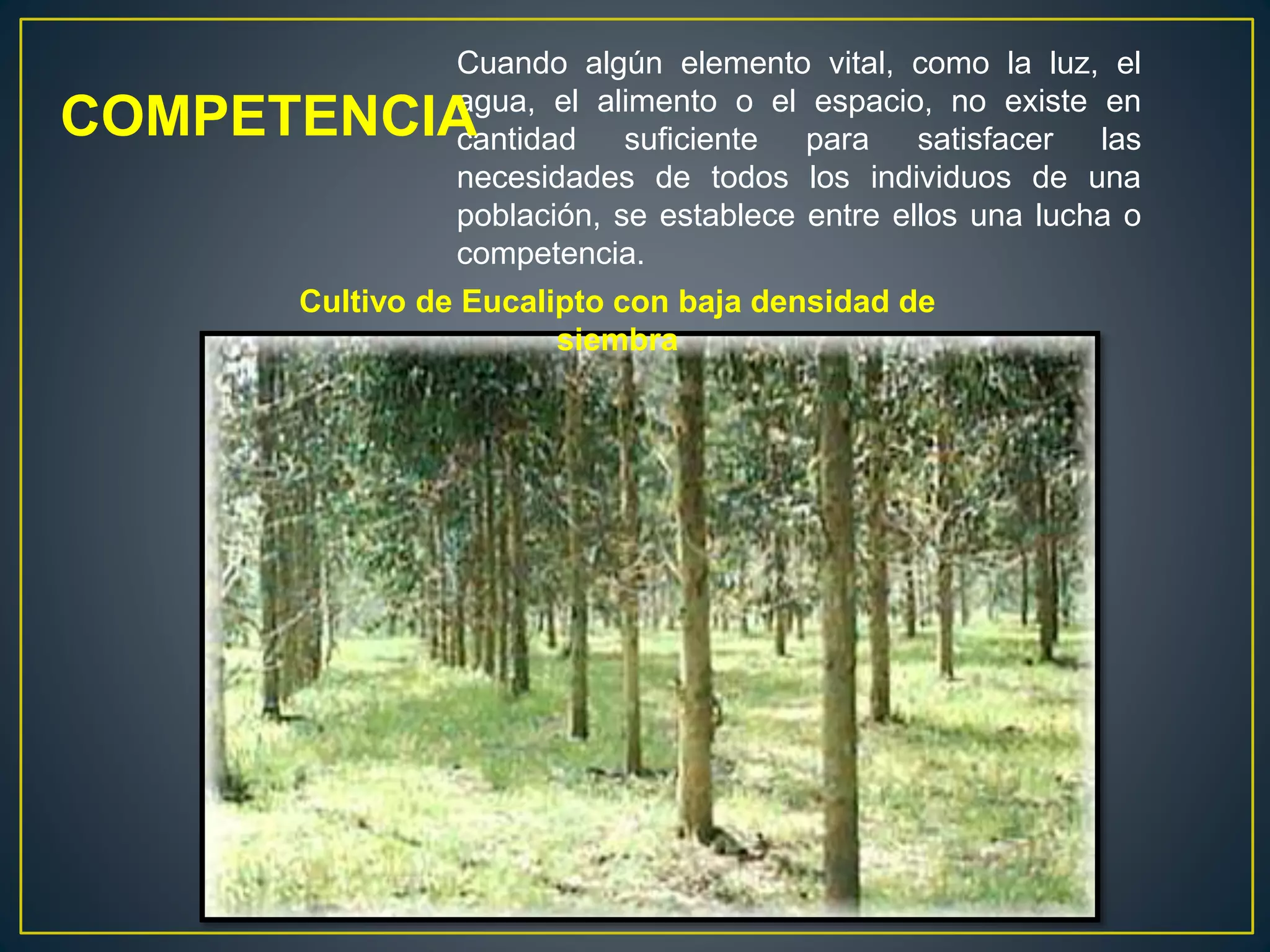 INTERACCIONES INTRAESPECÍFICAS E INTERESPECÍFICAS | PPTX