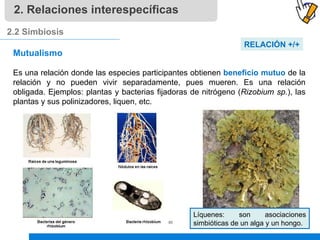 RELACIONES BIOLOGICAS DE LAS ESPECIES.ppt