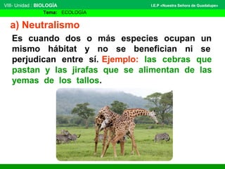Relaciones bióticas | PPT